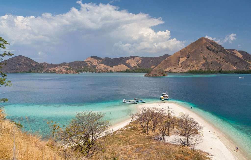 Labuan Bajo Private Tour: A Wildlife Adventure Awaits - Komodo Tour